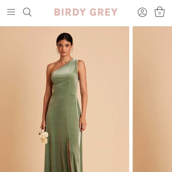 Birdy Grey | Dresses | Birdy Grey Dark Sage Green Velvet Kira Dress ...